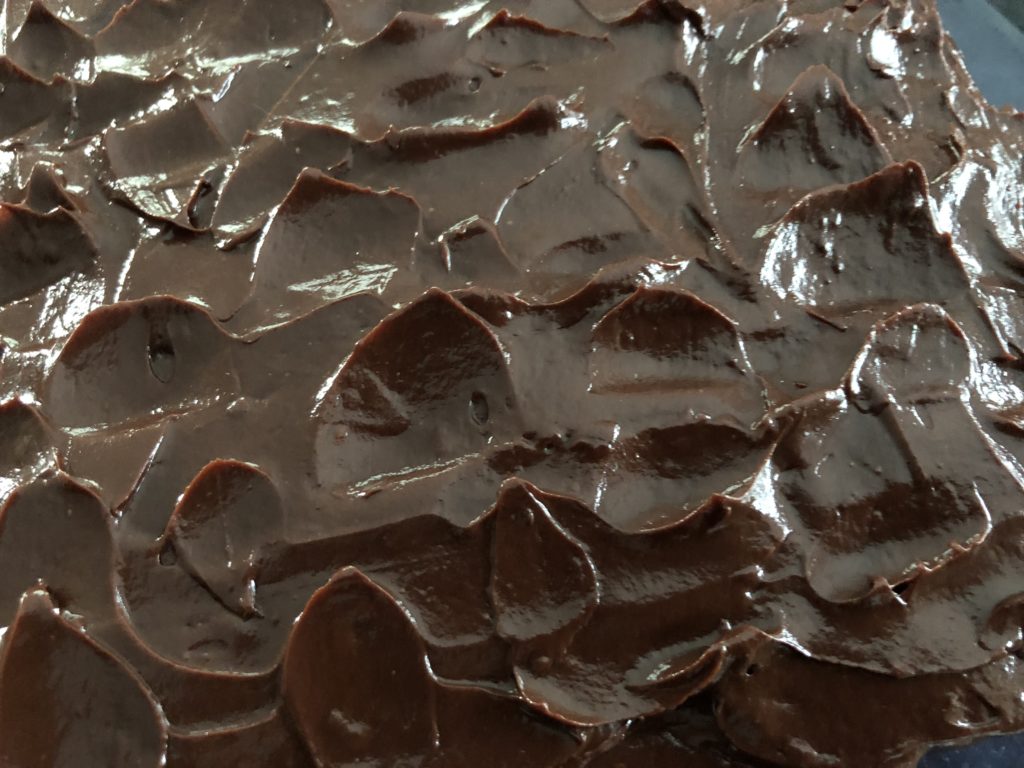 Chocolate Cake Squares (Lydia Pinkham’s)